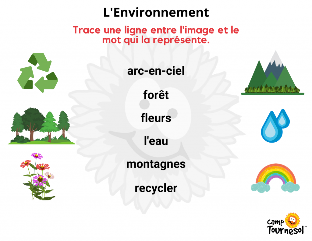 Useful French Vocabulary: The Environment